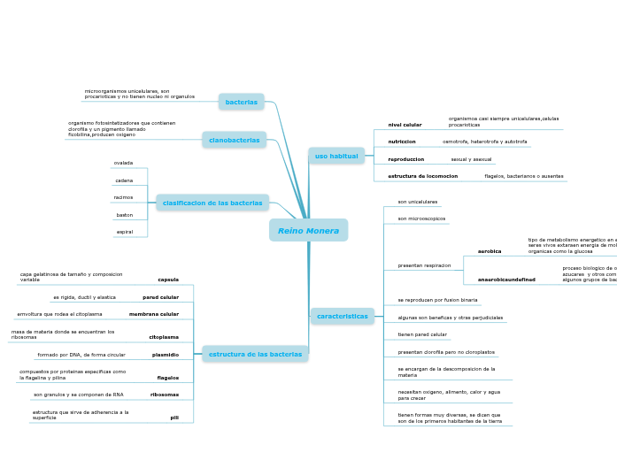Reino Monera - Mind Map